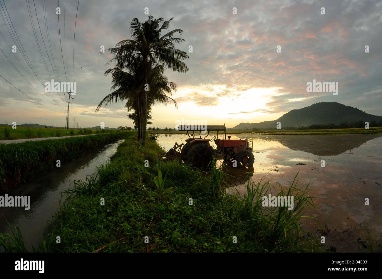 Tractor parking paddy field hi-res stock photography and images - Alamy