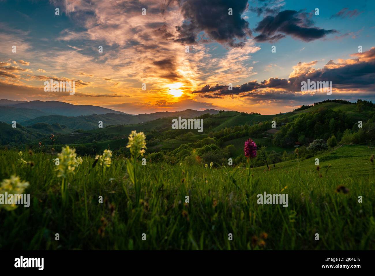 Spring landscape with green forests on the hills during sunset Stock ...