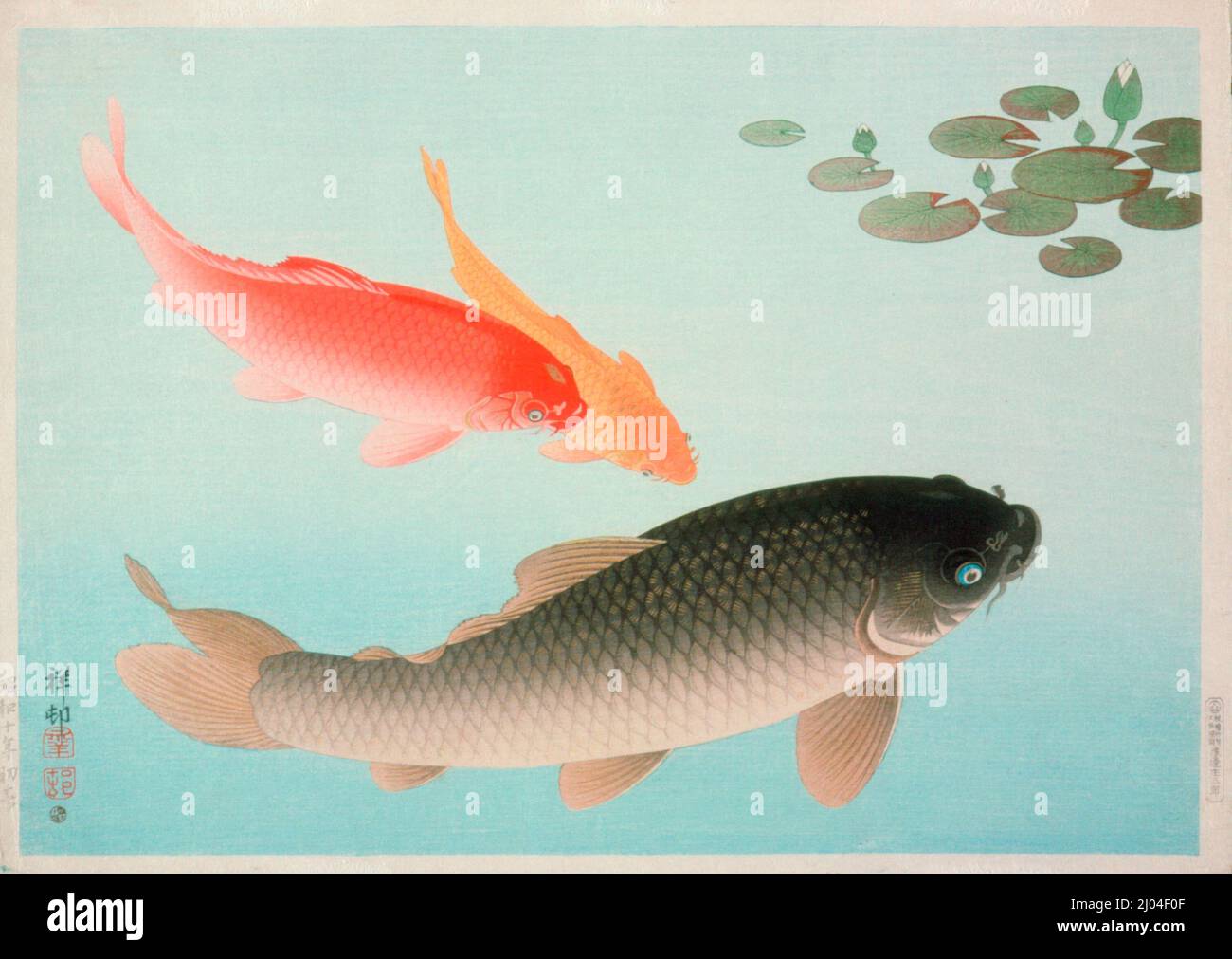 Common and Golden Carp. Ohara Shōson (Japan, 1877-1945). Japan, 1935 ...