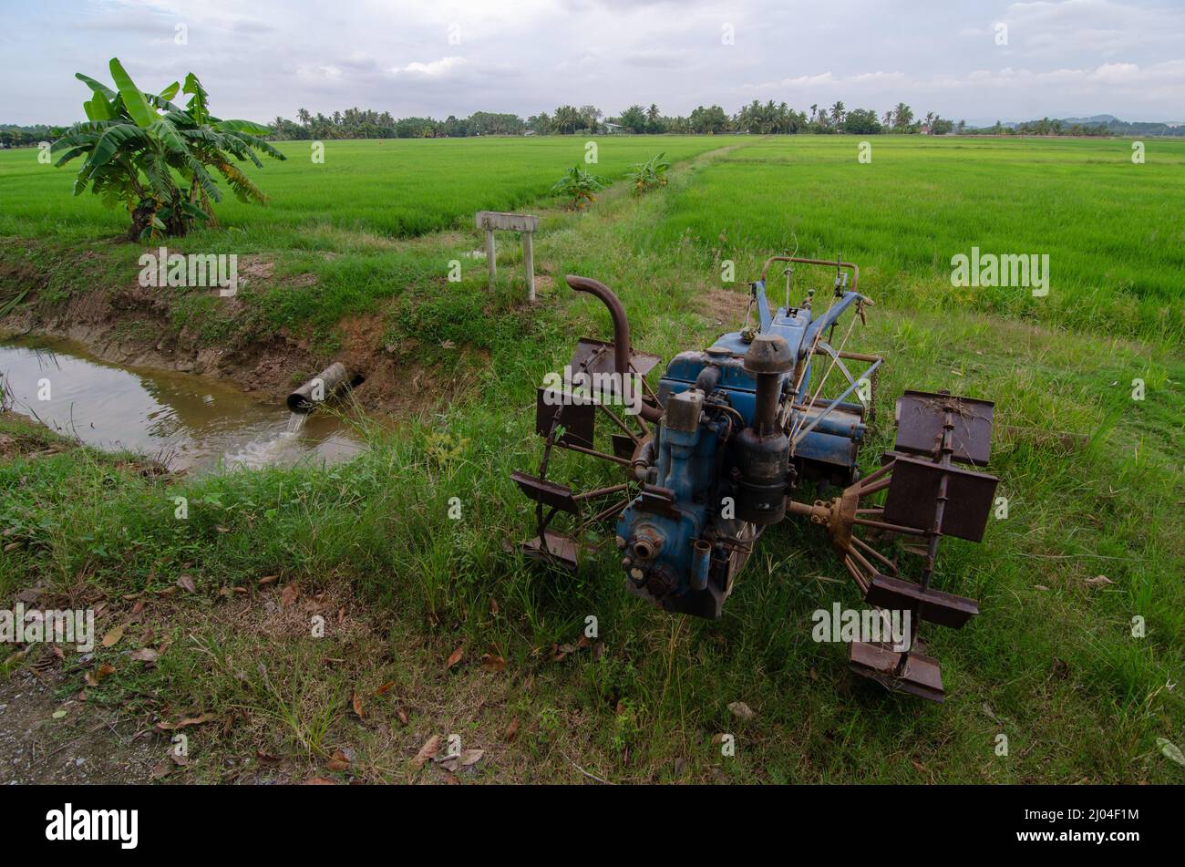 Walking tractor used to plowing park at paddy field Stock Photo - Alamy