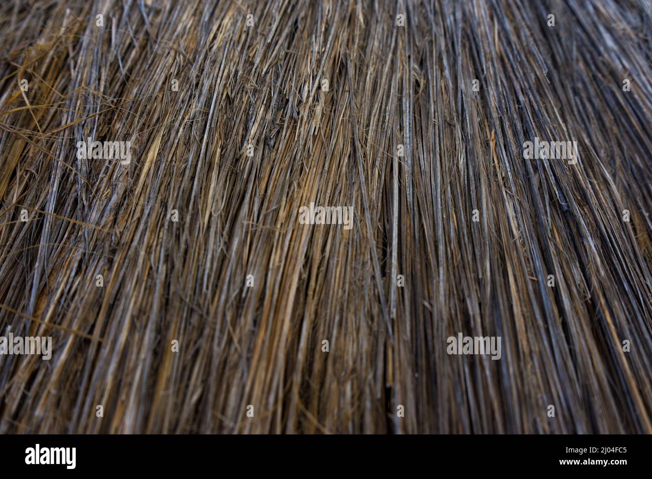 Palapa close up texture Stock Photo - Alamy
