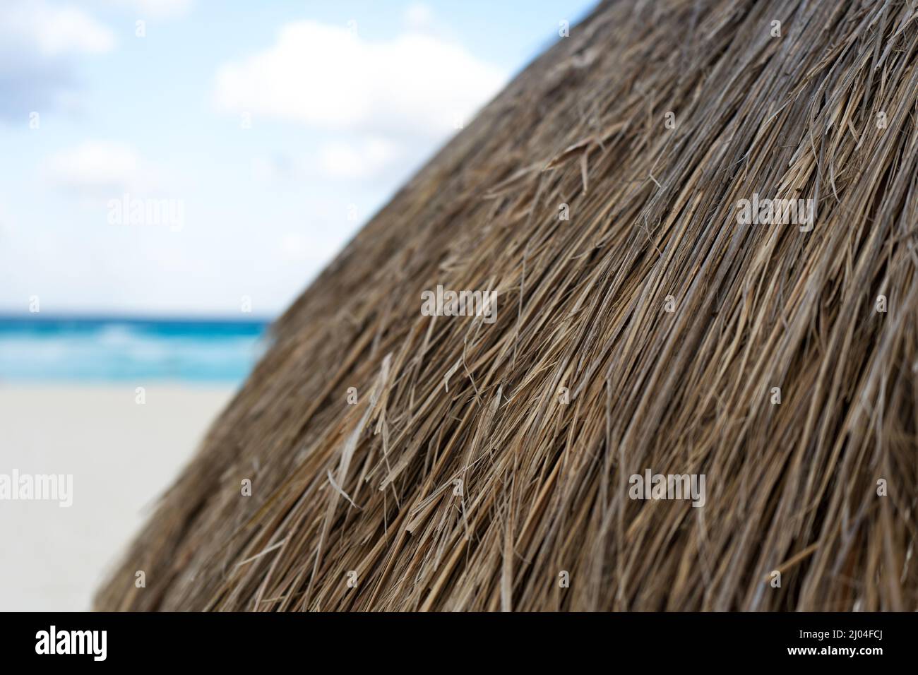 Mexico palm tree palapa beach hi-res stock photography and images - Alamy