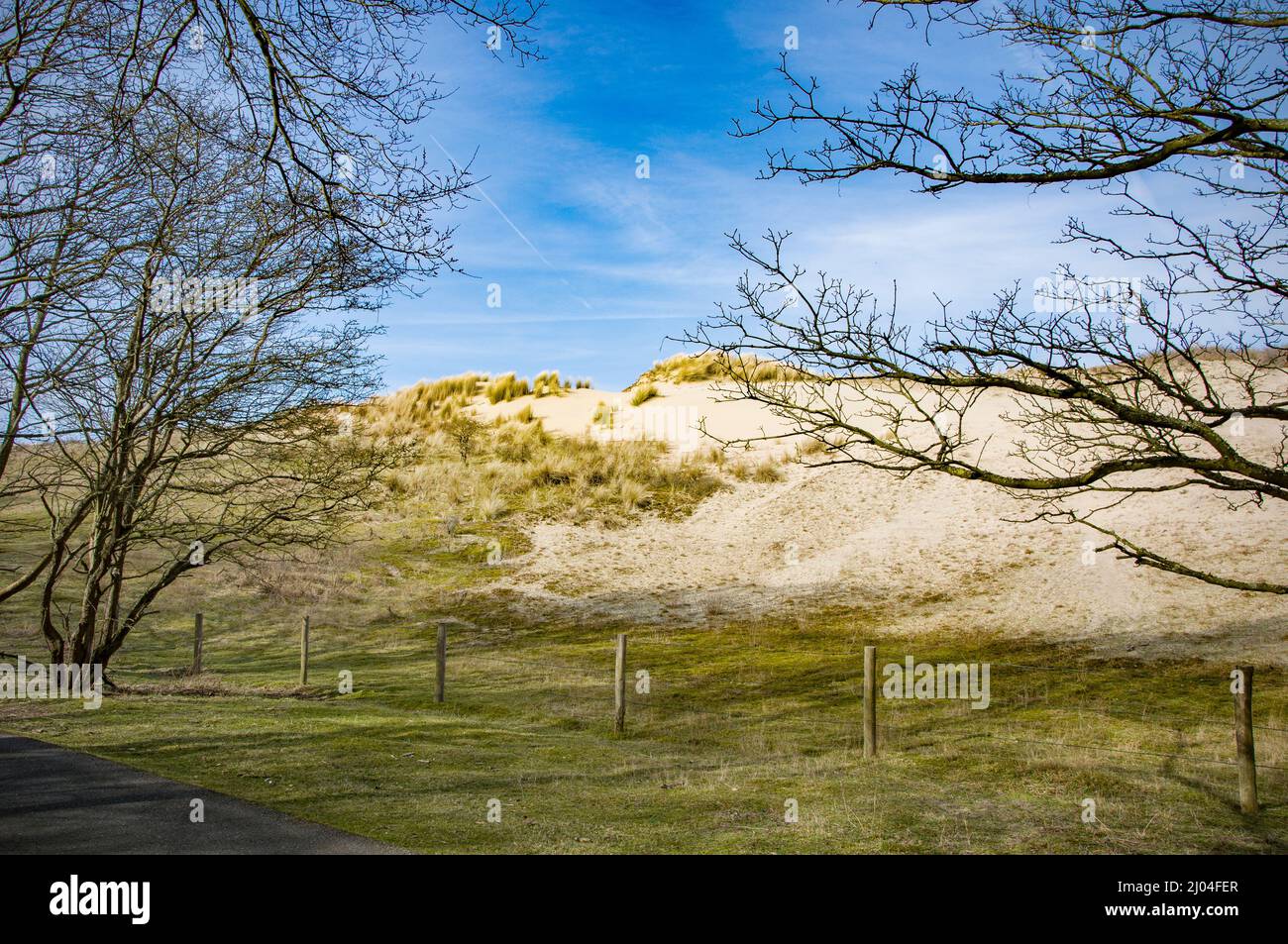 Dunes in Netherlands. Beautiful spring landscape Stock Photo - Alamy