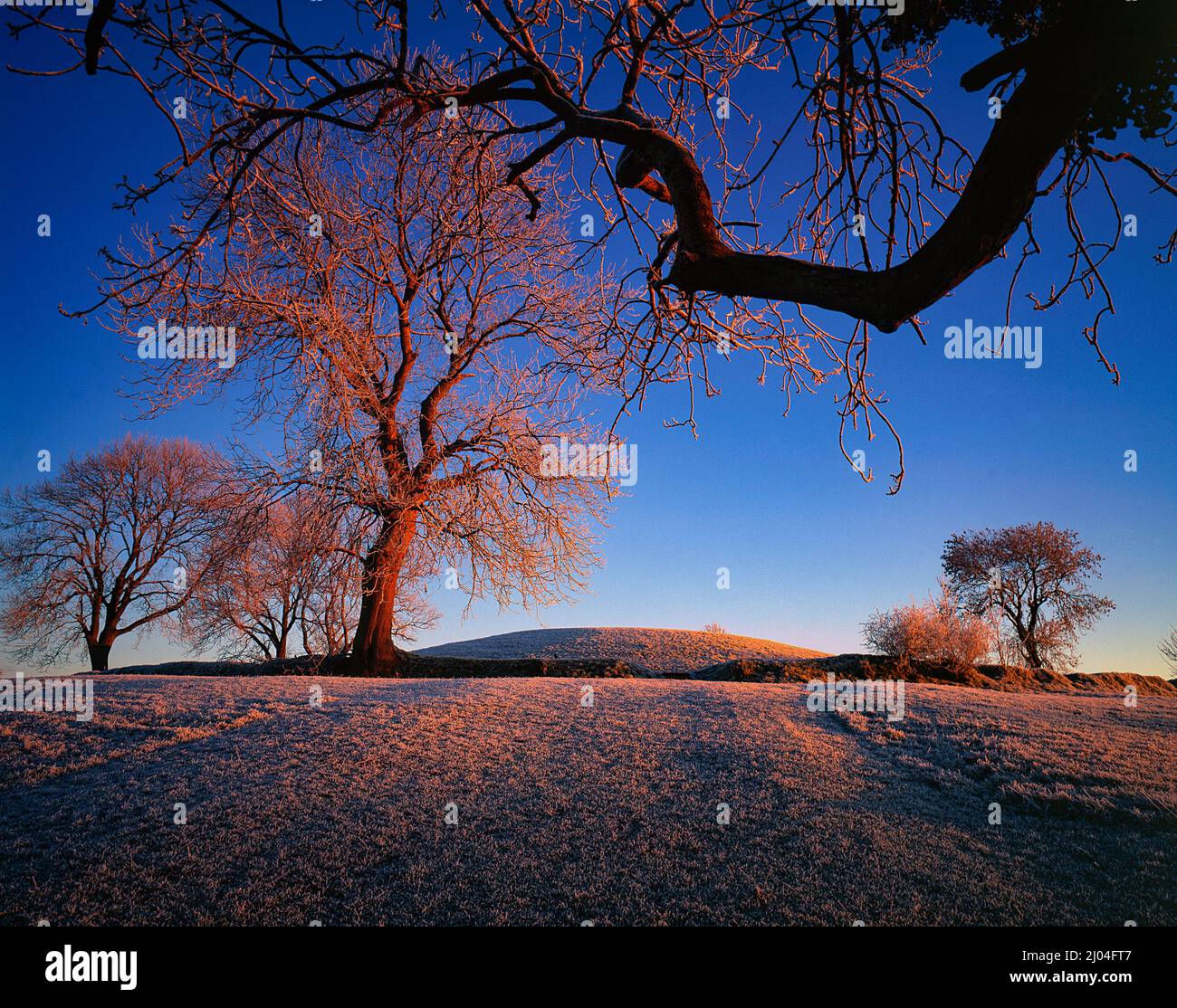 Navan certre hi-res stock photography and images - Alamy