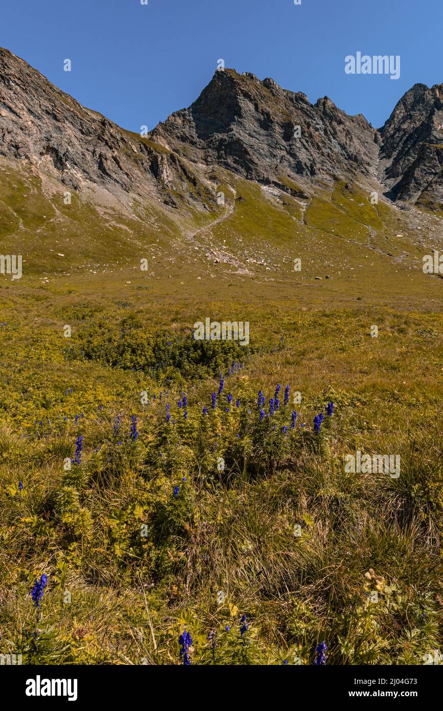 Scaletta hut hi-res stock photography and images - Alamy