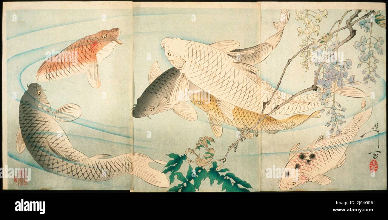 Carp with Wisteria. Tsukioka Yoshitoshi (Japan, 1839-1892). Japan, 1889 ...