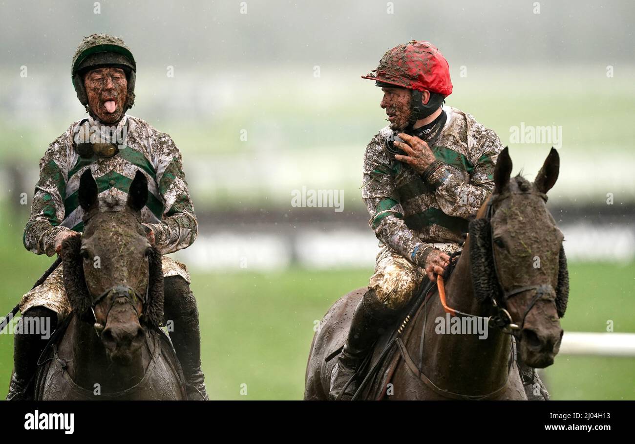 The bosses oscar horse hi-res stock photography and images - Alamy