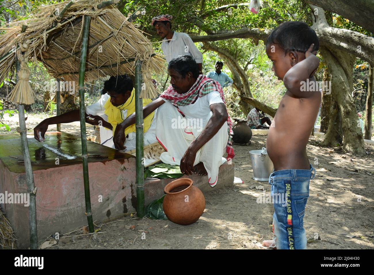 Santiniketan, West Bengal, India. 15th Mar, 2022. Baha the flower ...