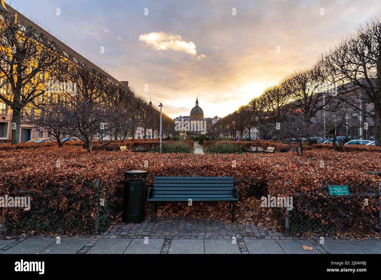 Autumn bushes, trees and benches in the park in Copenhagen, Denmark ...