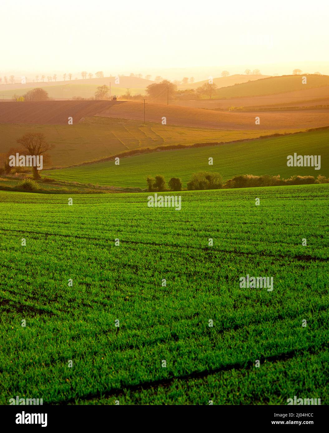Tilling the soil for planting in North Down near Comber, County Down ...