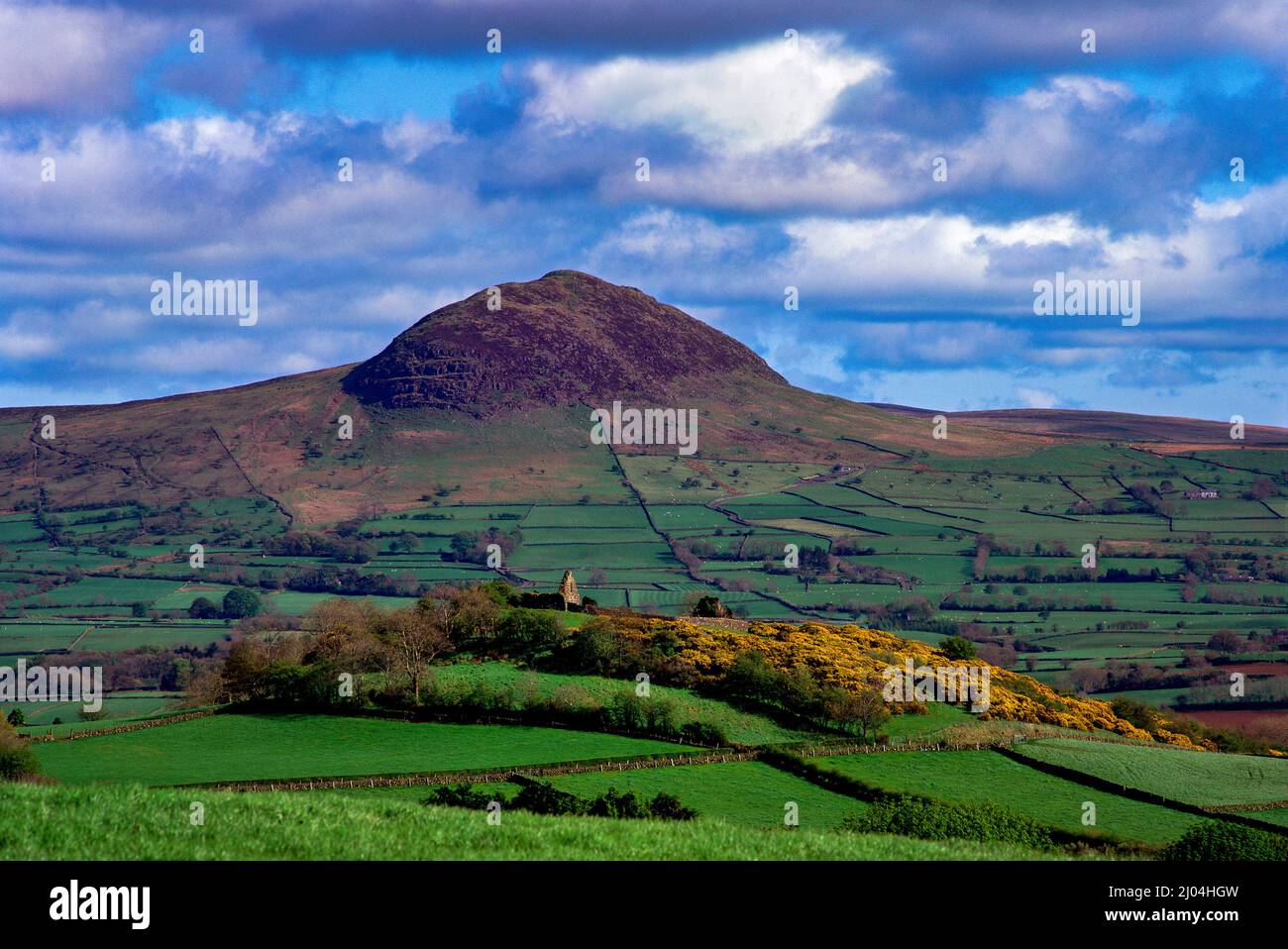 Slemish Mountain, County Antrim, Northern Ireland Stock Photo - Alamy