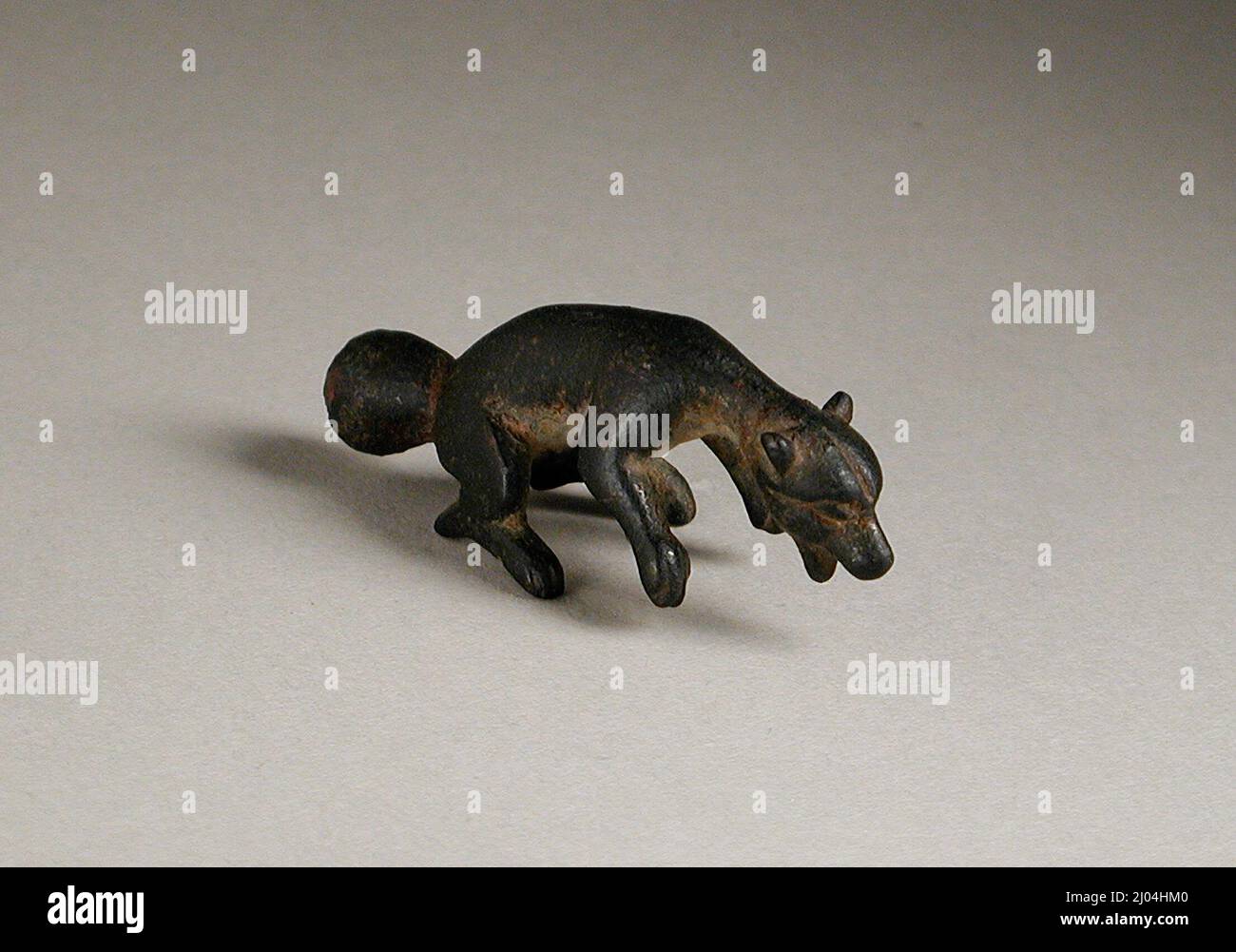 Dog roman hi-res stock photography and images - Alamy