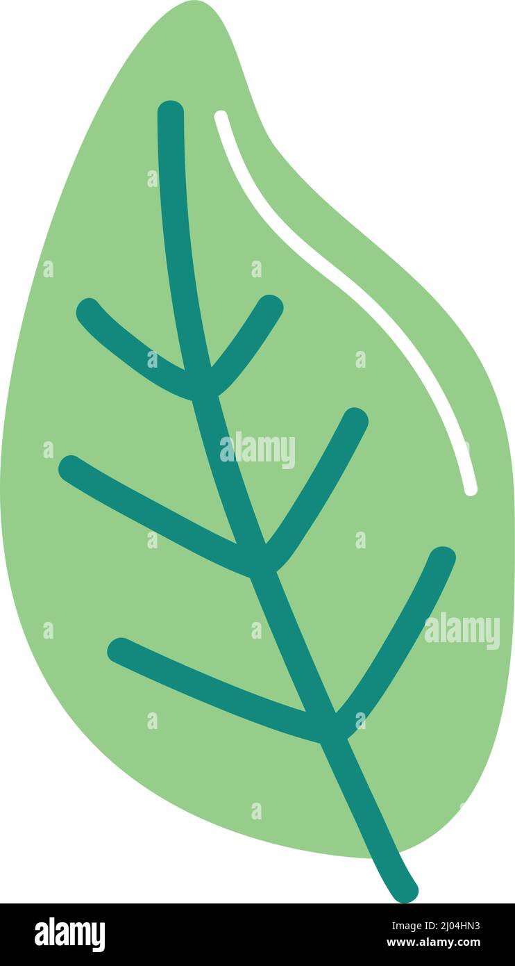 green eco leaf plant icon Stock Vector Image & Art - Alamy