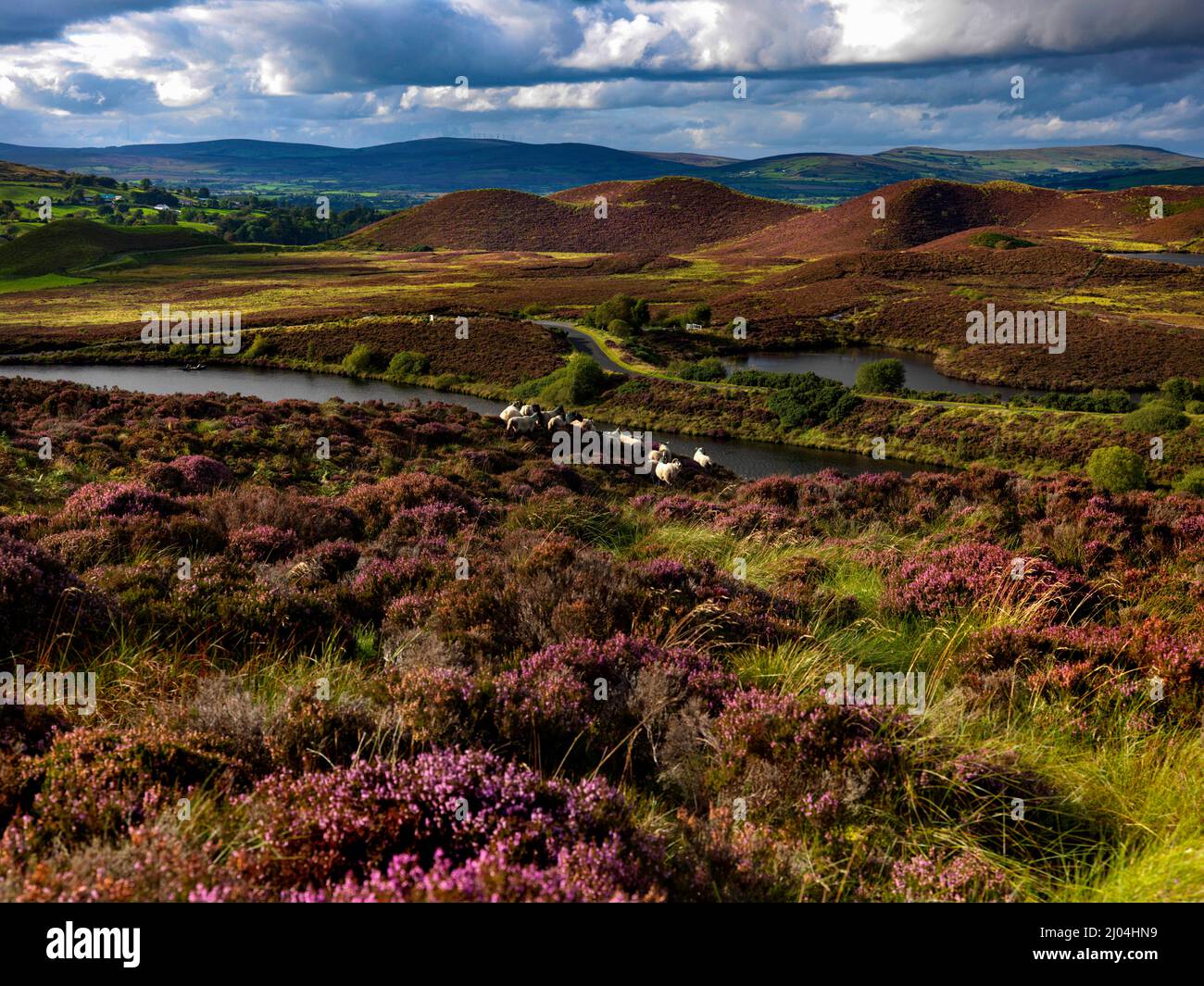 Gortin ireland hi-res stock photography and images - Alamy