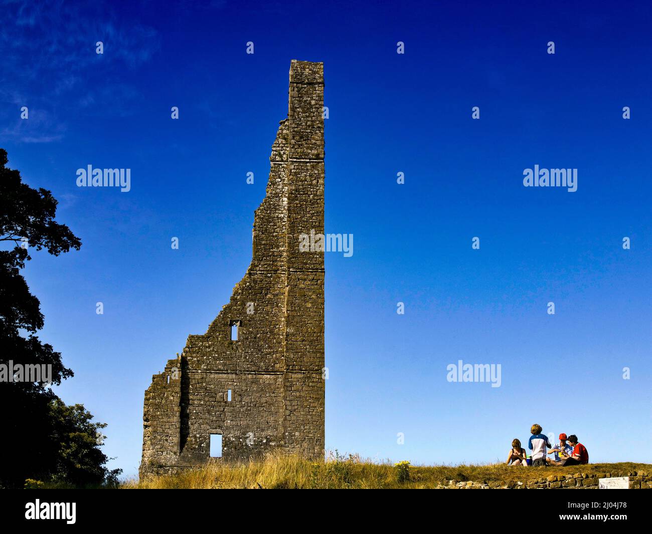 St. Mary's Abbey, Trim, County Meath, Ireland Stock Photo - Alamy
