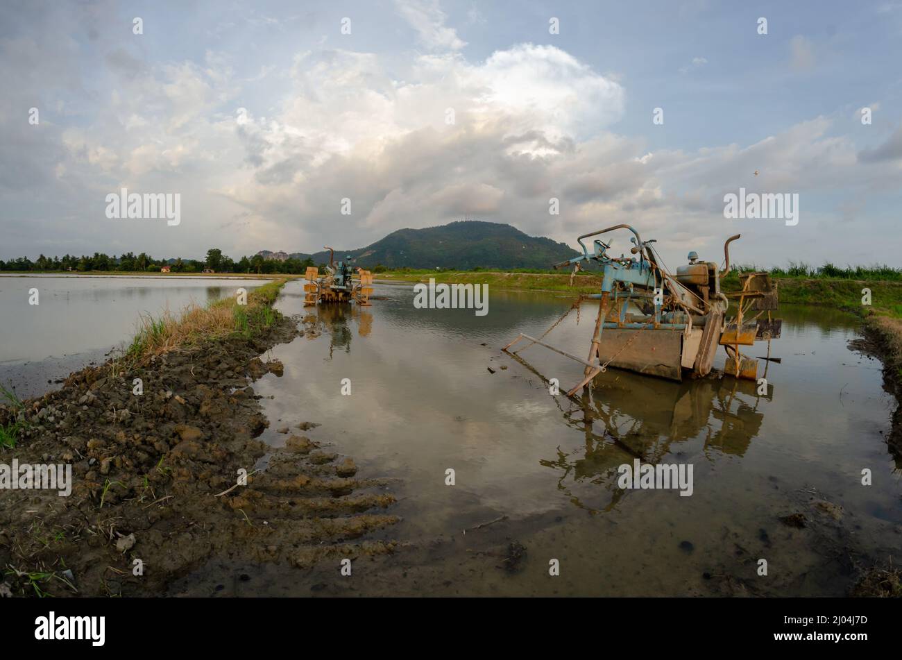 Two tractors park at the paddy field in ultra wide view Stock Photo - Alamy