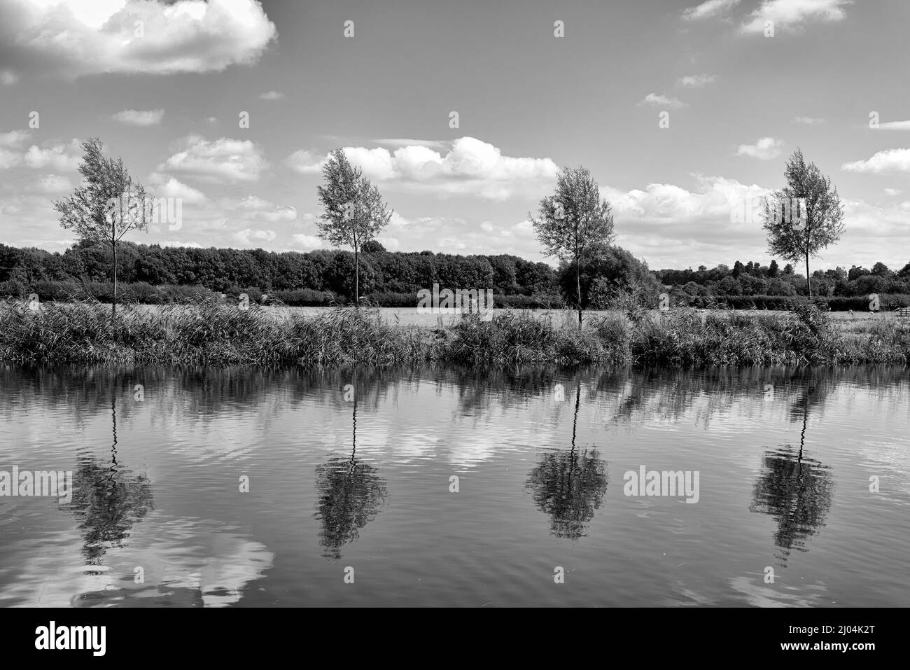 Side view of fresh Black and White Stock Photos & Images - Alamy