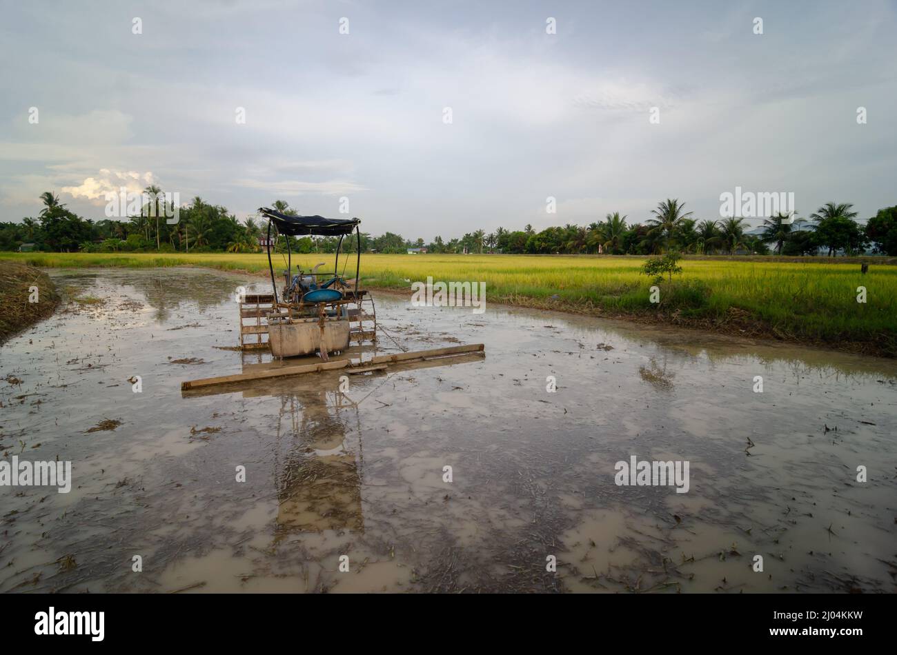 Tractor park in water at paddy field Stock Photo - Alamy
