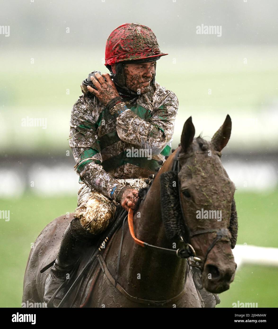 The bosses oscar horse hi-res stock photography and images - Alamy