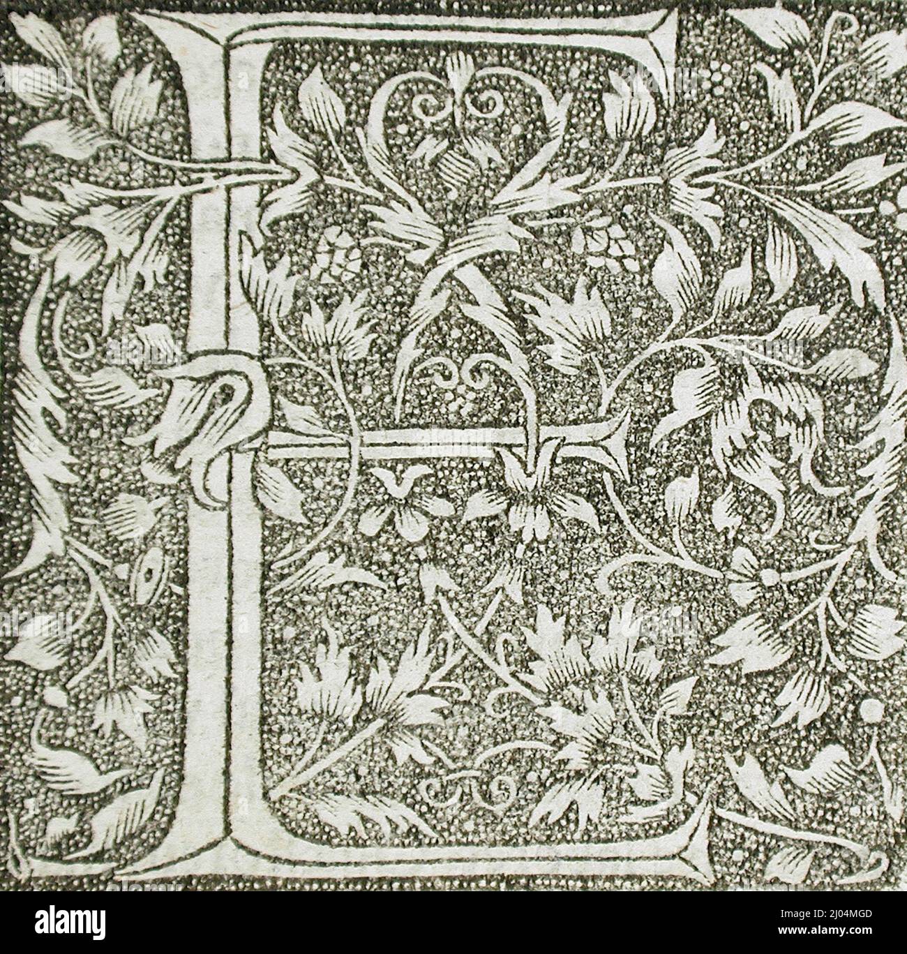 Ten Ornamental Letters (E, C, Q). France, 16th century. Prints ...