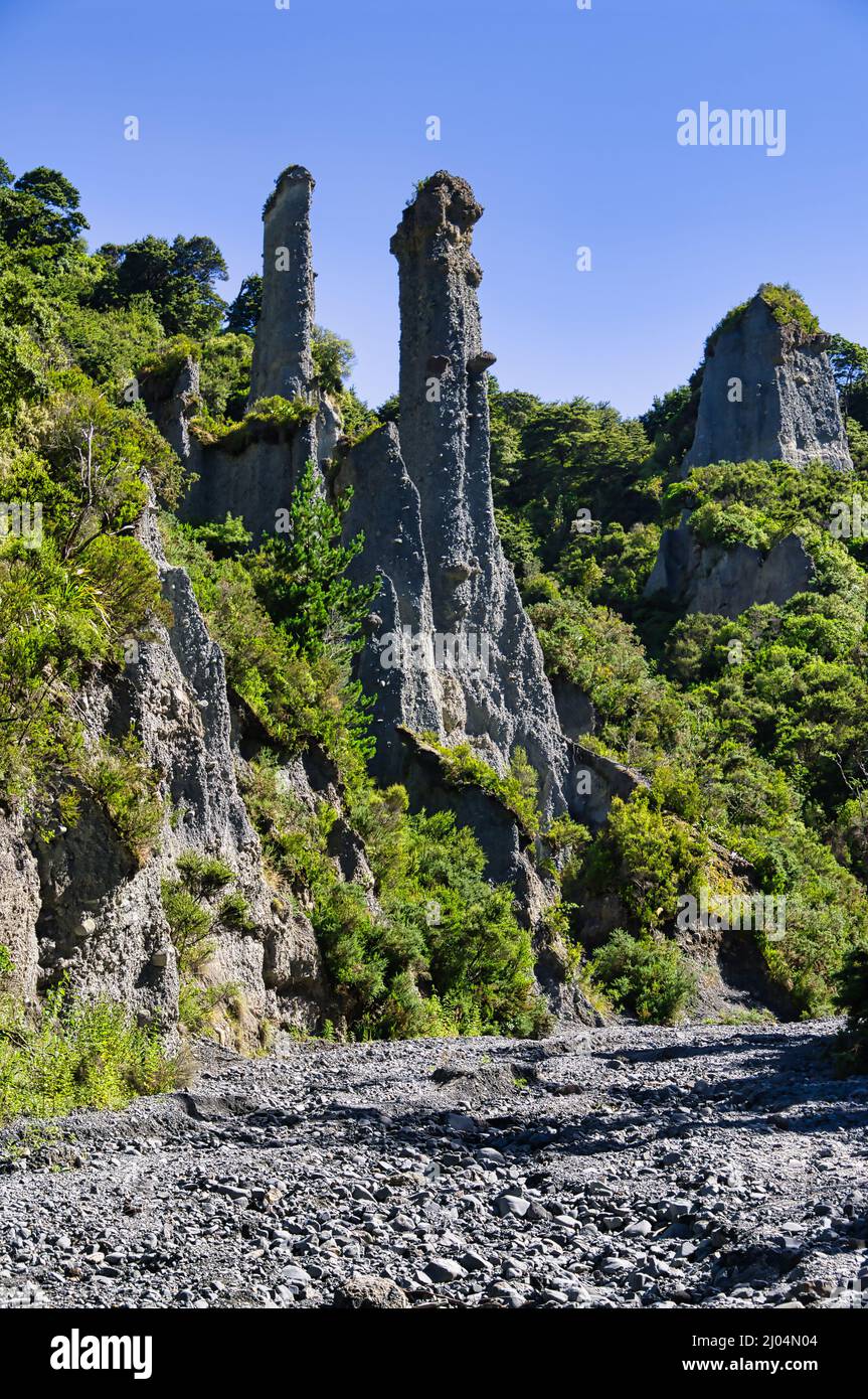 The Putangirua Pinnacles, eroded gravel spires, in Aorangi Forest Park ...