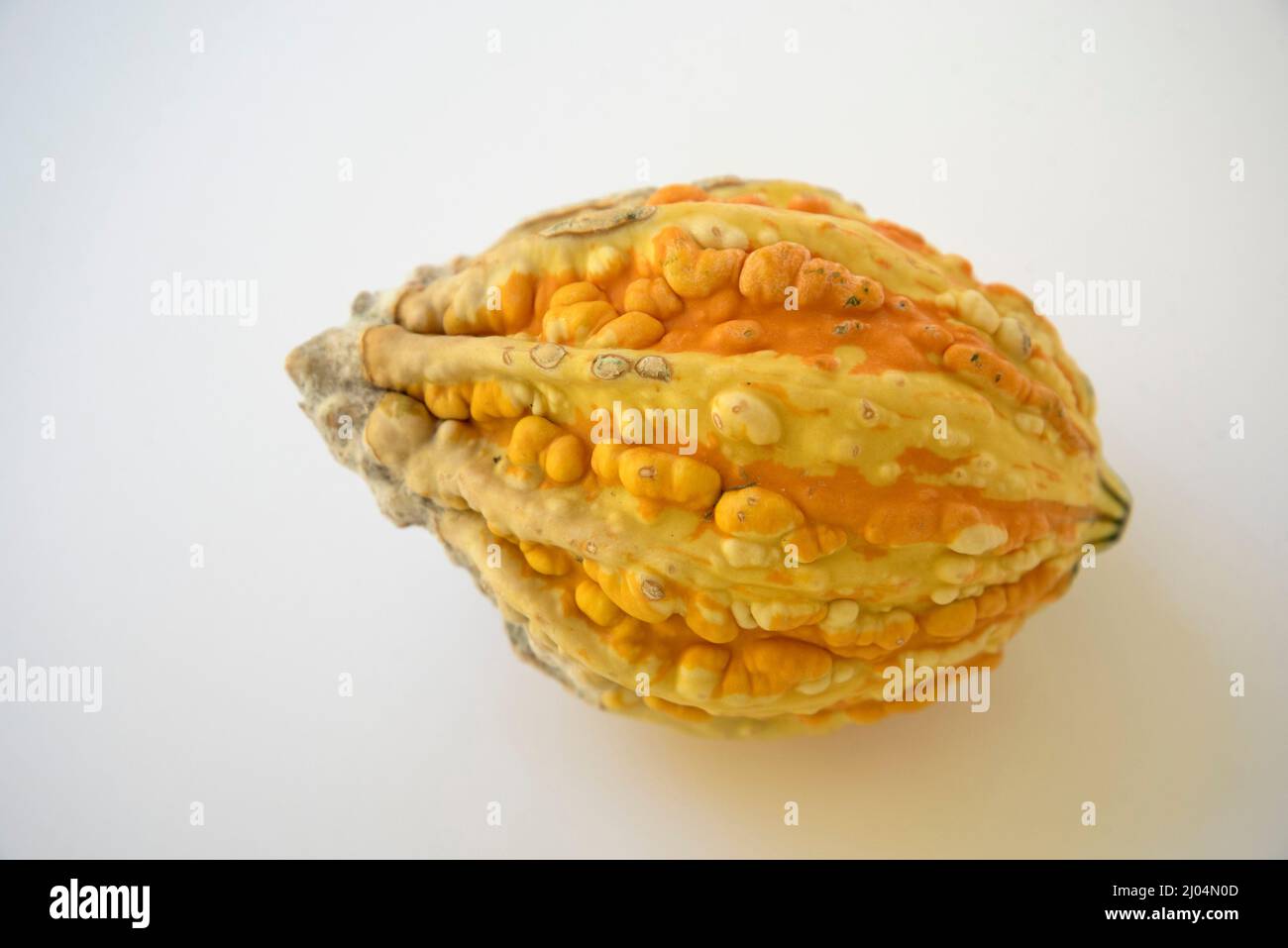 Ornamental and decorative gourds are unusually and beautifully formed ...