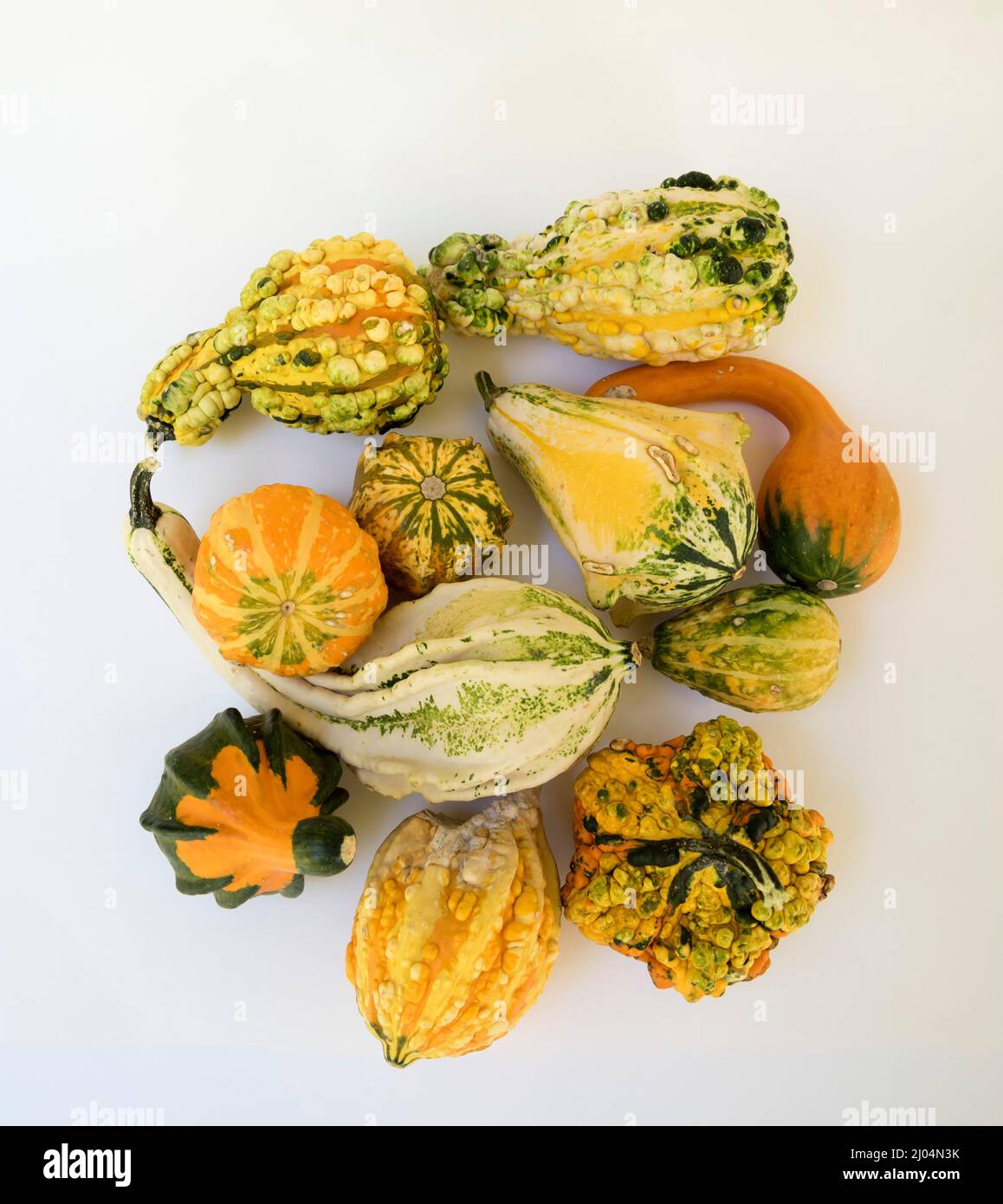 Ornamental and decorative gourds are unusually and beautifully formed ...