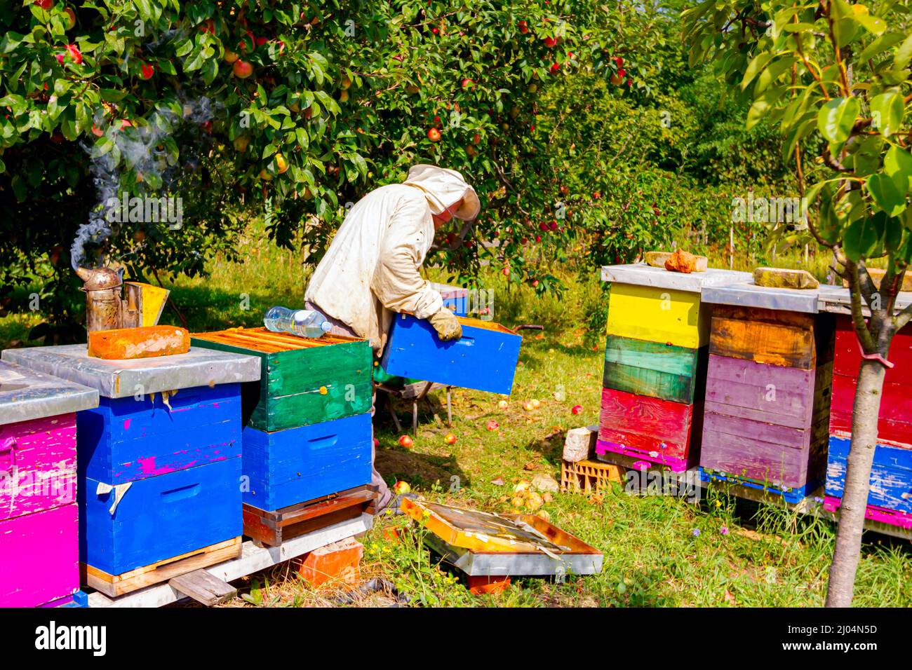 Beehive cart hi-res stock photography and images - Alamy