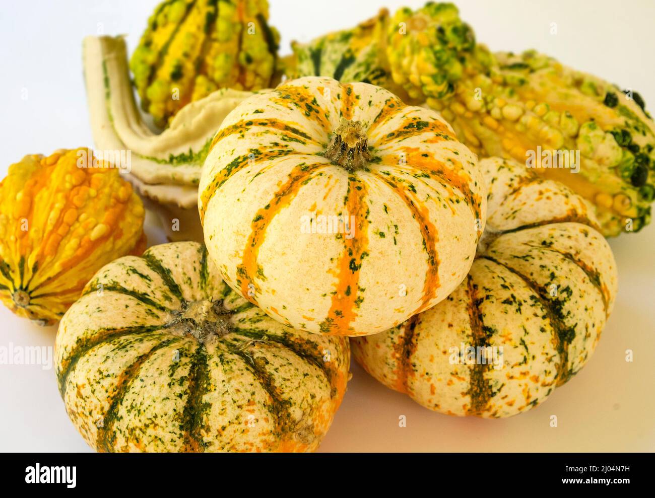 Ornamental and decorative gourds are unusually and beautifully formed ...