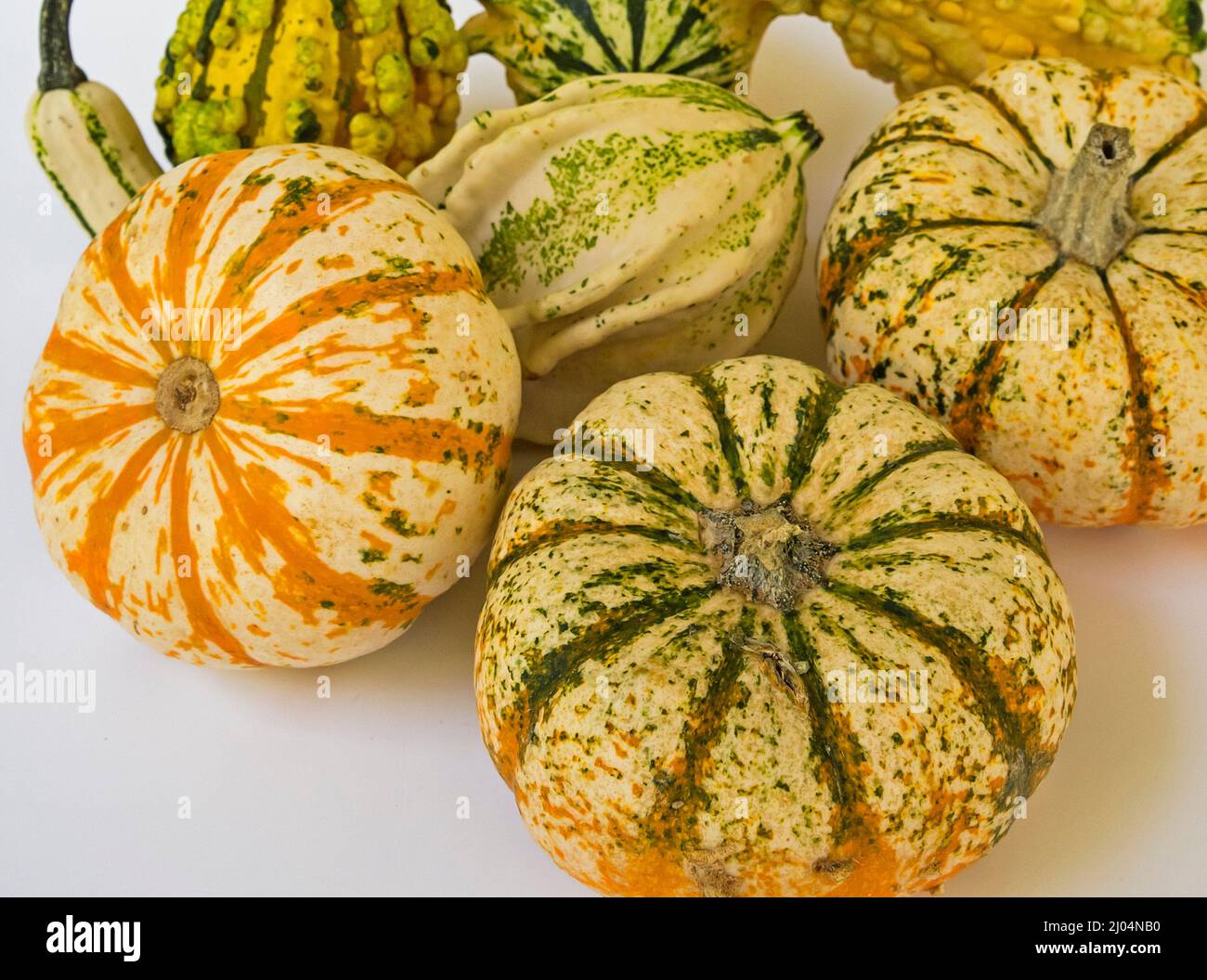 Ornamental and decorative gourds are unusually and beautifully formed ...