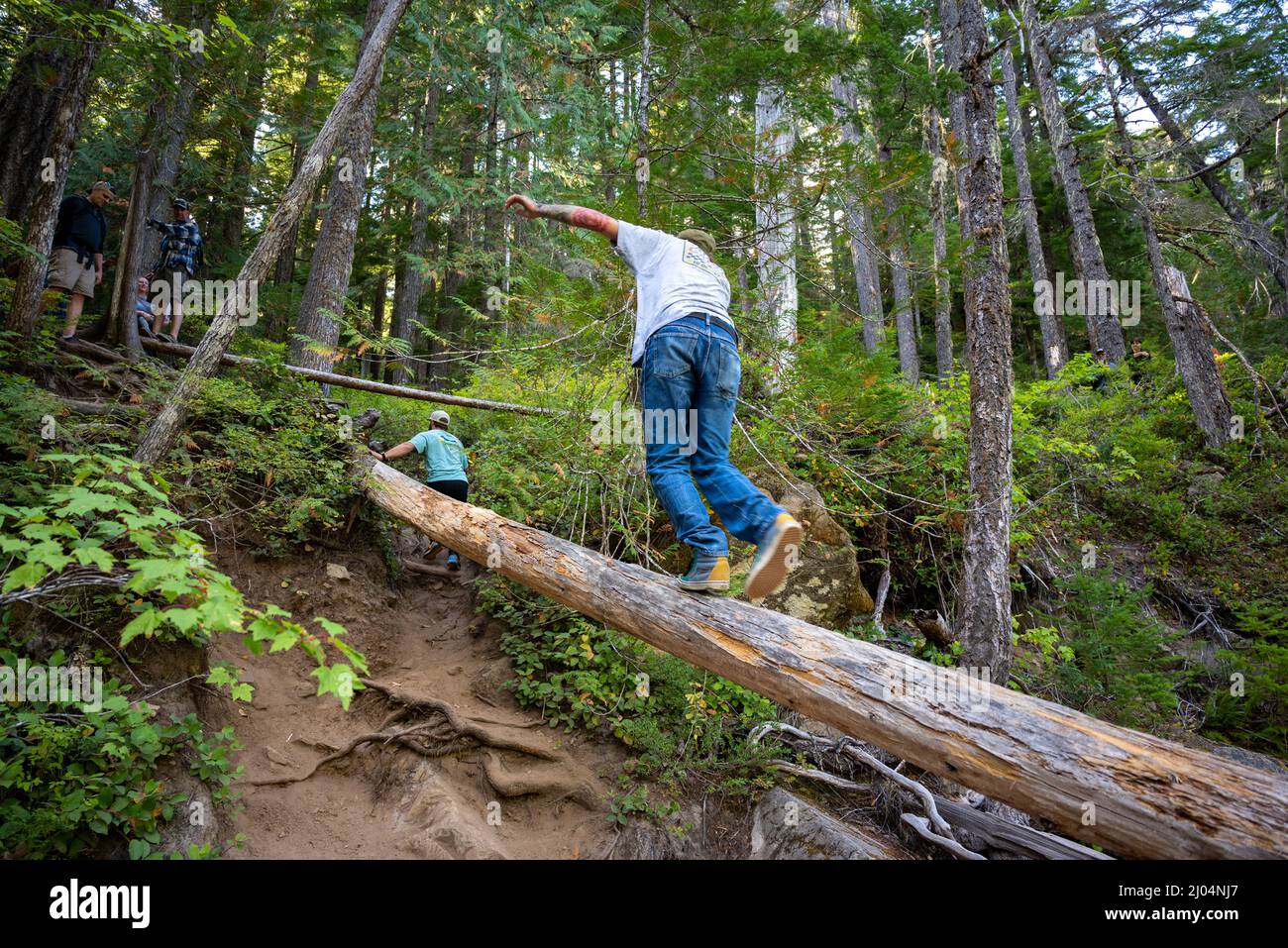 Man balancing on log while hiking in forrest Stock Photo - Alamy