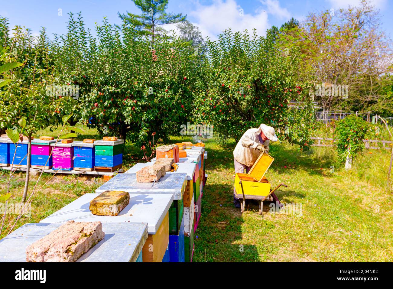 Beehive cart hi-res stock photography and images - Alamy