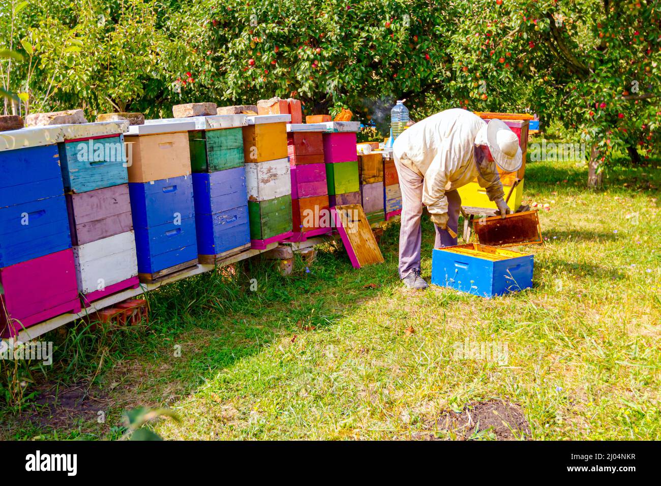 Beehive cart hi-res stock photography and images - Alamy