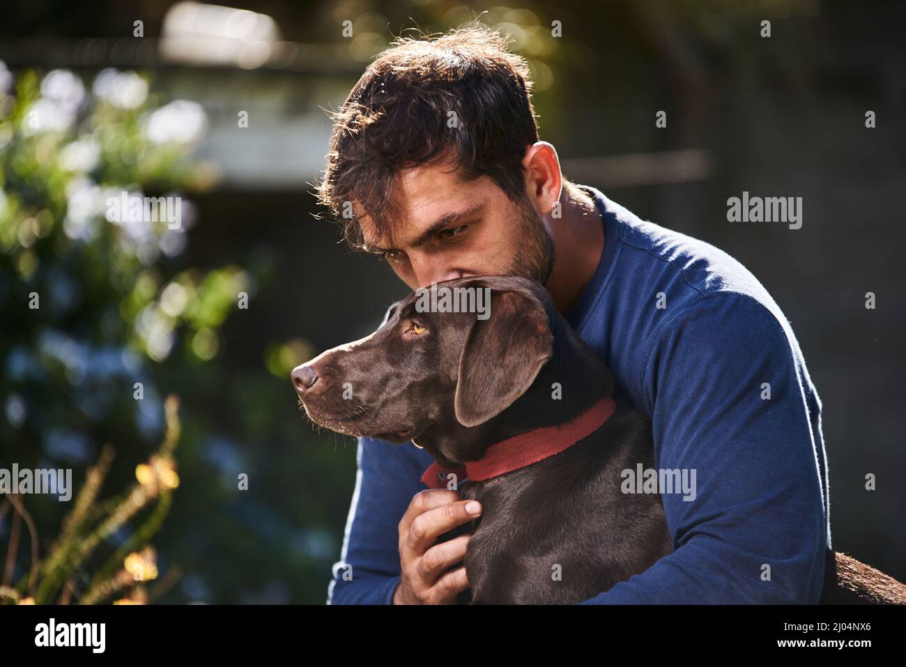 young man hugging his dog Stock Photo - Alamy