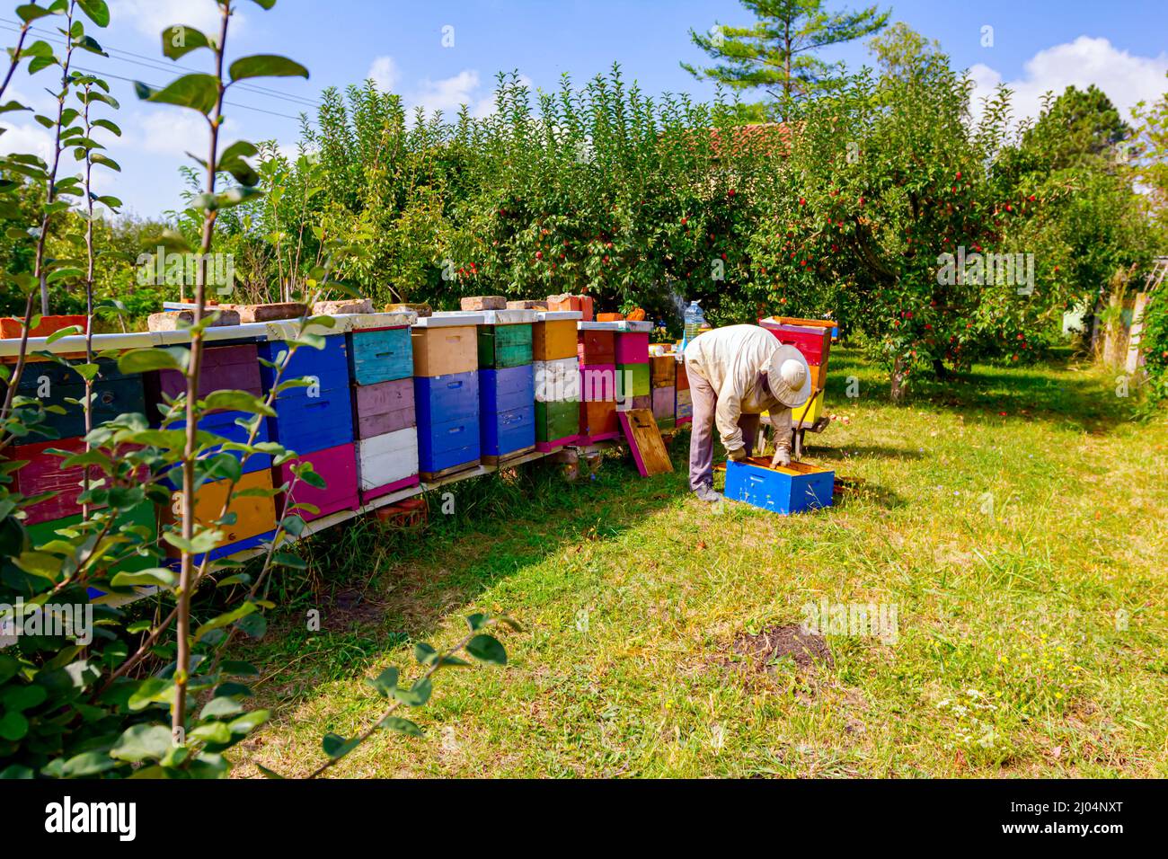 Beehive cart hi-res stock photography and images - Alamy