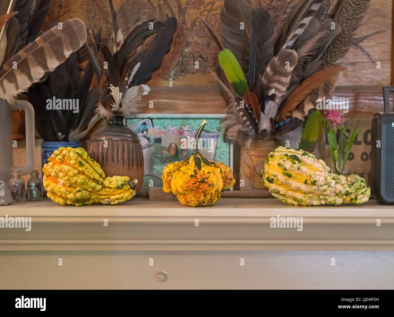 Ornamental and decorative gourds are unusually and beautifully formed ...