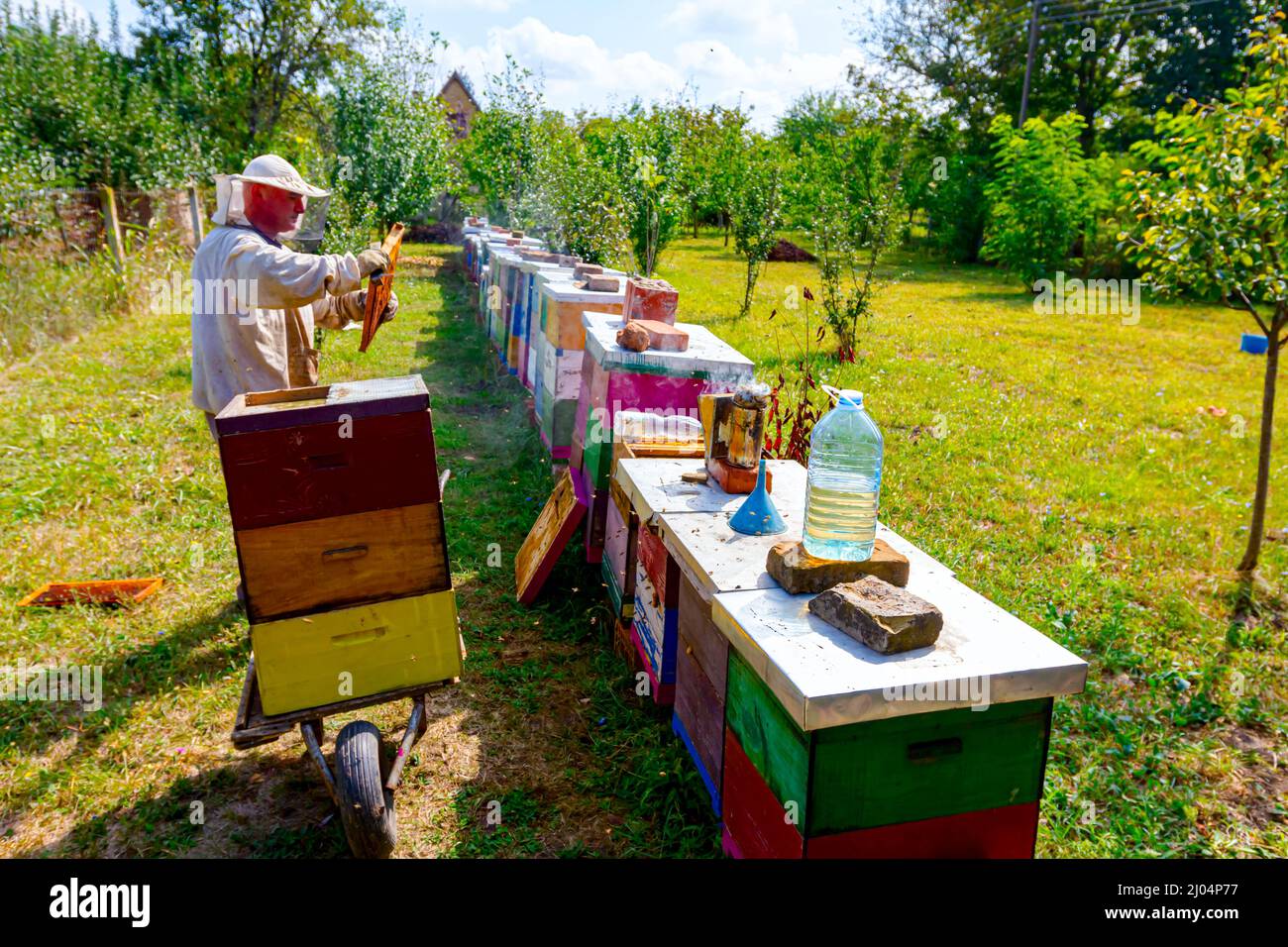 Beehive cart High Resolution Stock Photography and Images - Alamy
