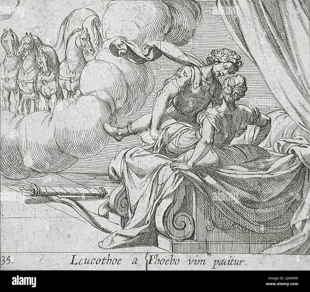 Leucothoe hi-res stock photography and images - Alamy