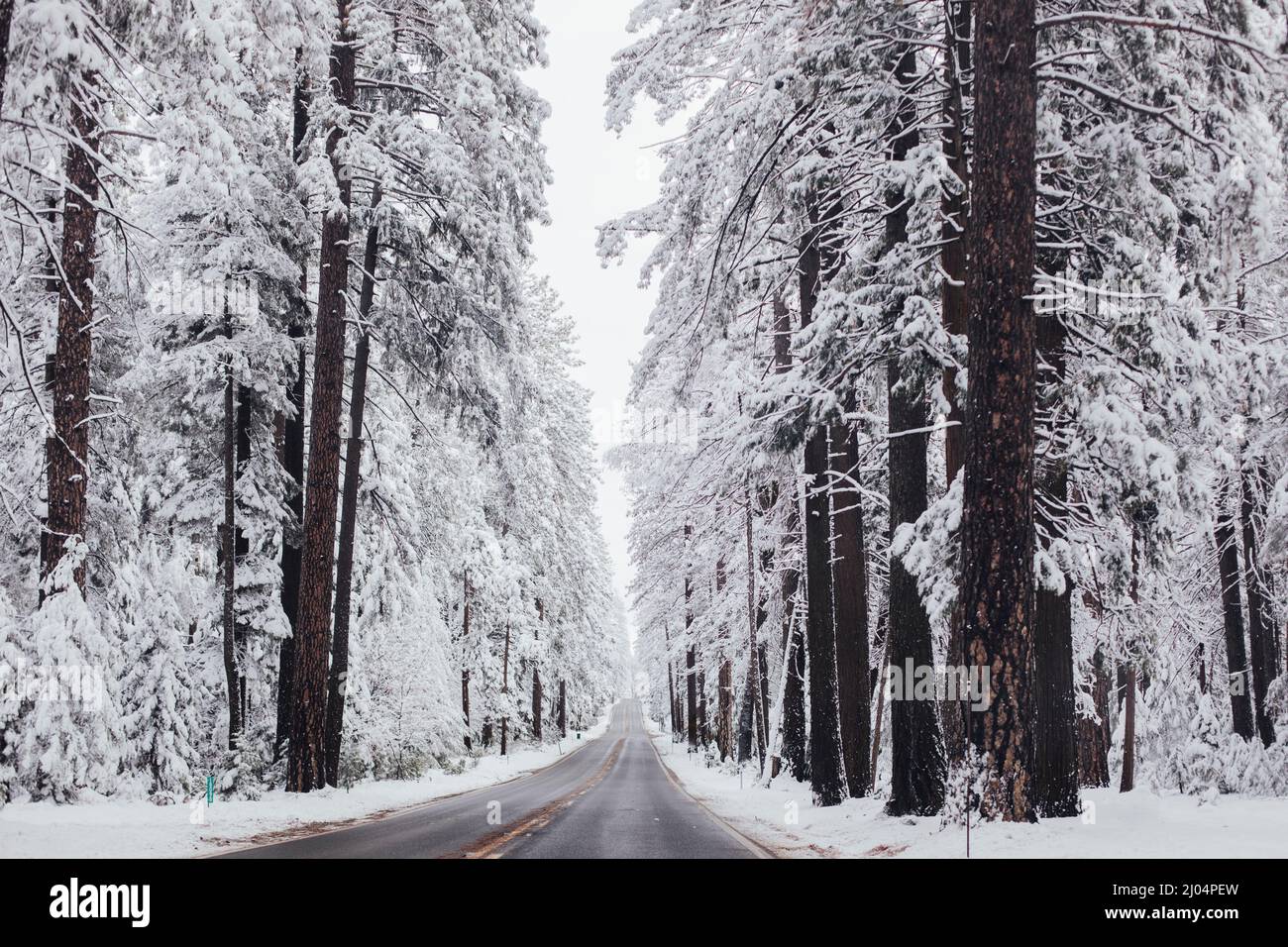 Truckee snow hi-res stock photography and images - Alamy