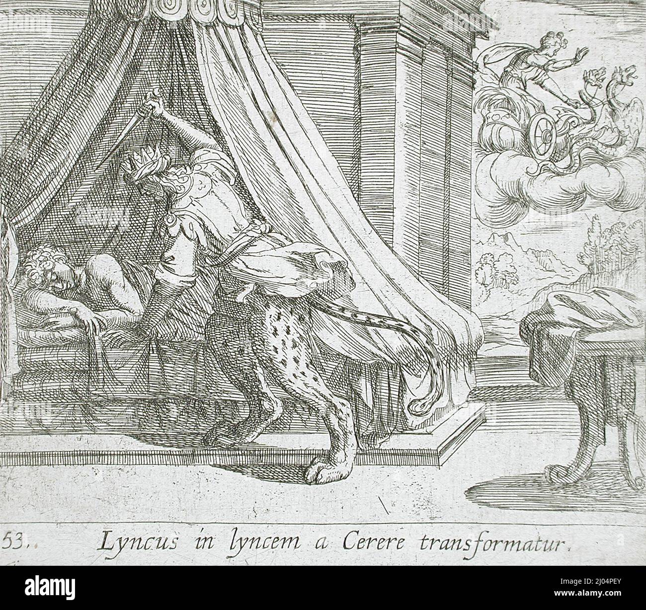 Lyncus turned into a lynx hi-res stock photography and images - Alamy