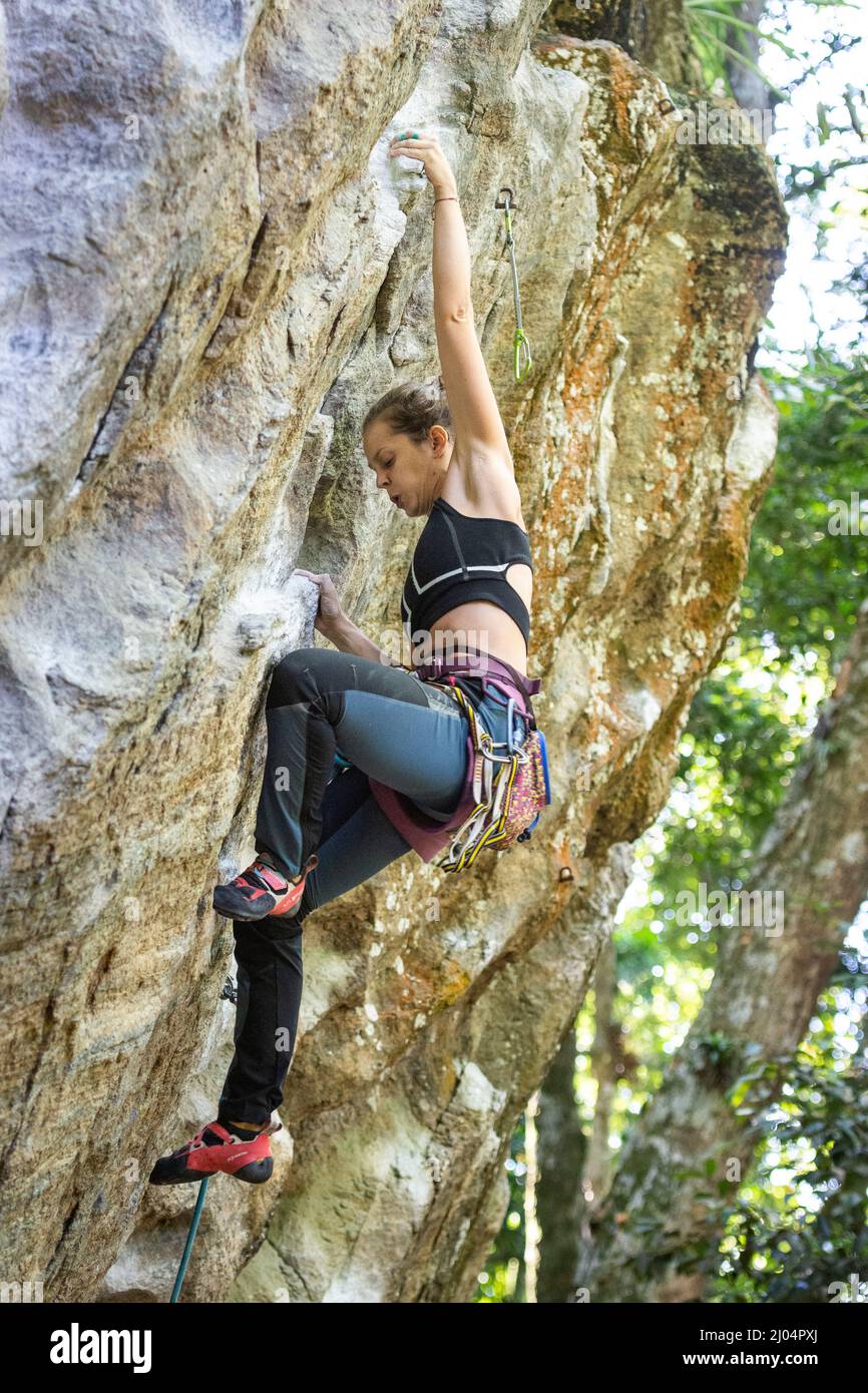 View to female climber climbing on natural rainforest rocky wall Stock ...
