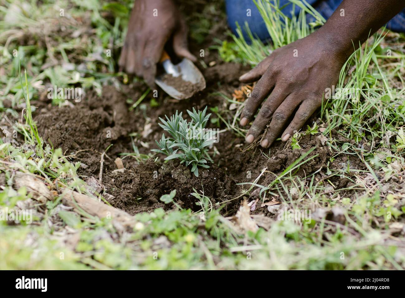 African hands soil hi-res stock photography and images - Alamy