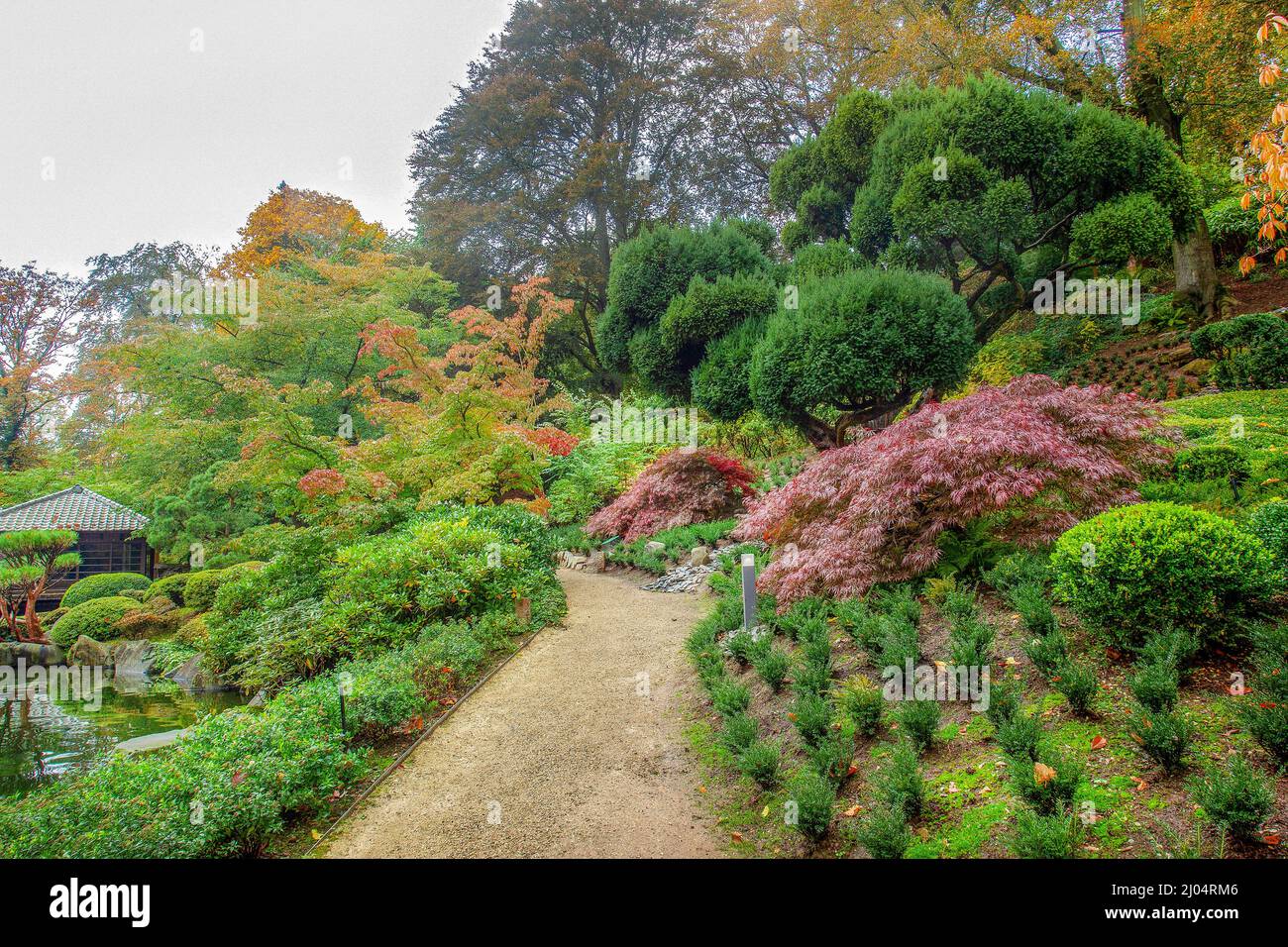 An earthen path in a Japanese garden in autumn in Kaiserslautern ...
