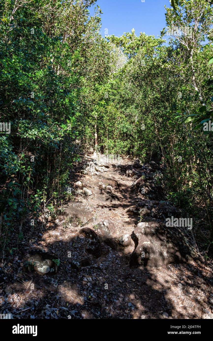 Hiking trail „Trace Rouge“, Terre-de-Bas, Iles des Saintes, Les Saintes ...
