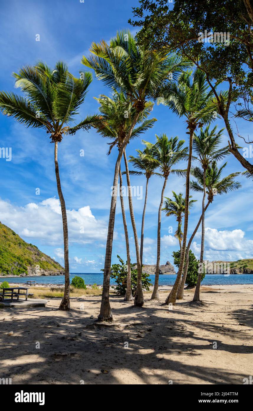 Roches de terre hi-res stock photography and images - Alamy