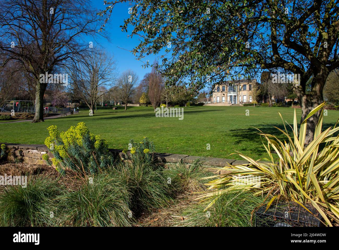 Spring at Carr Bank Park in Mansfield, Nottinghamshire England UK Stock ...