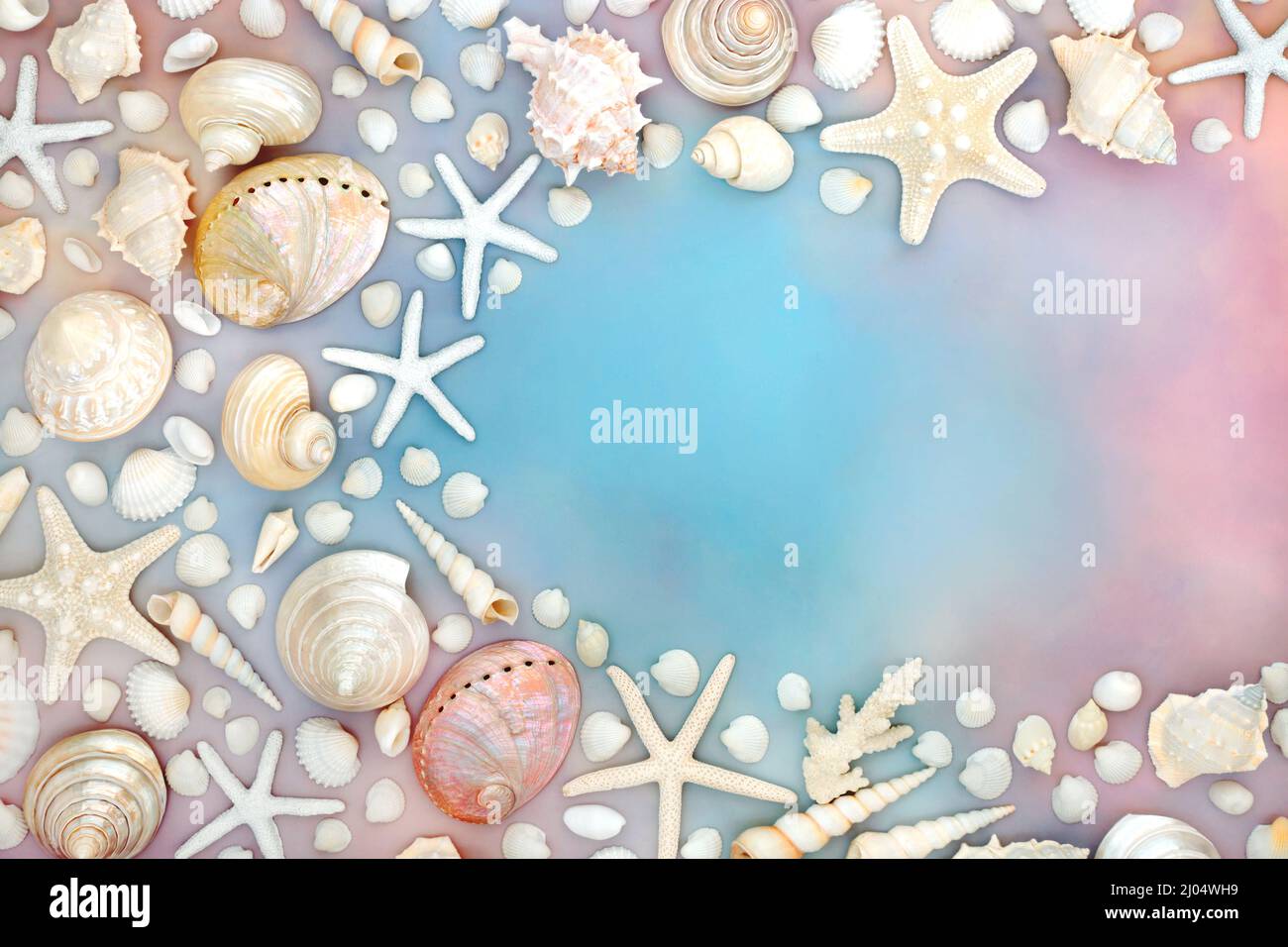 Sea shell collection of shells on rainbow colored sky cloud background ...