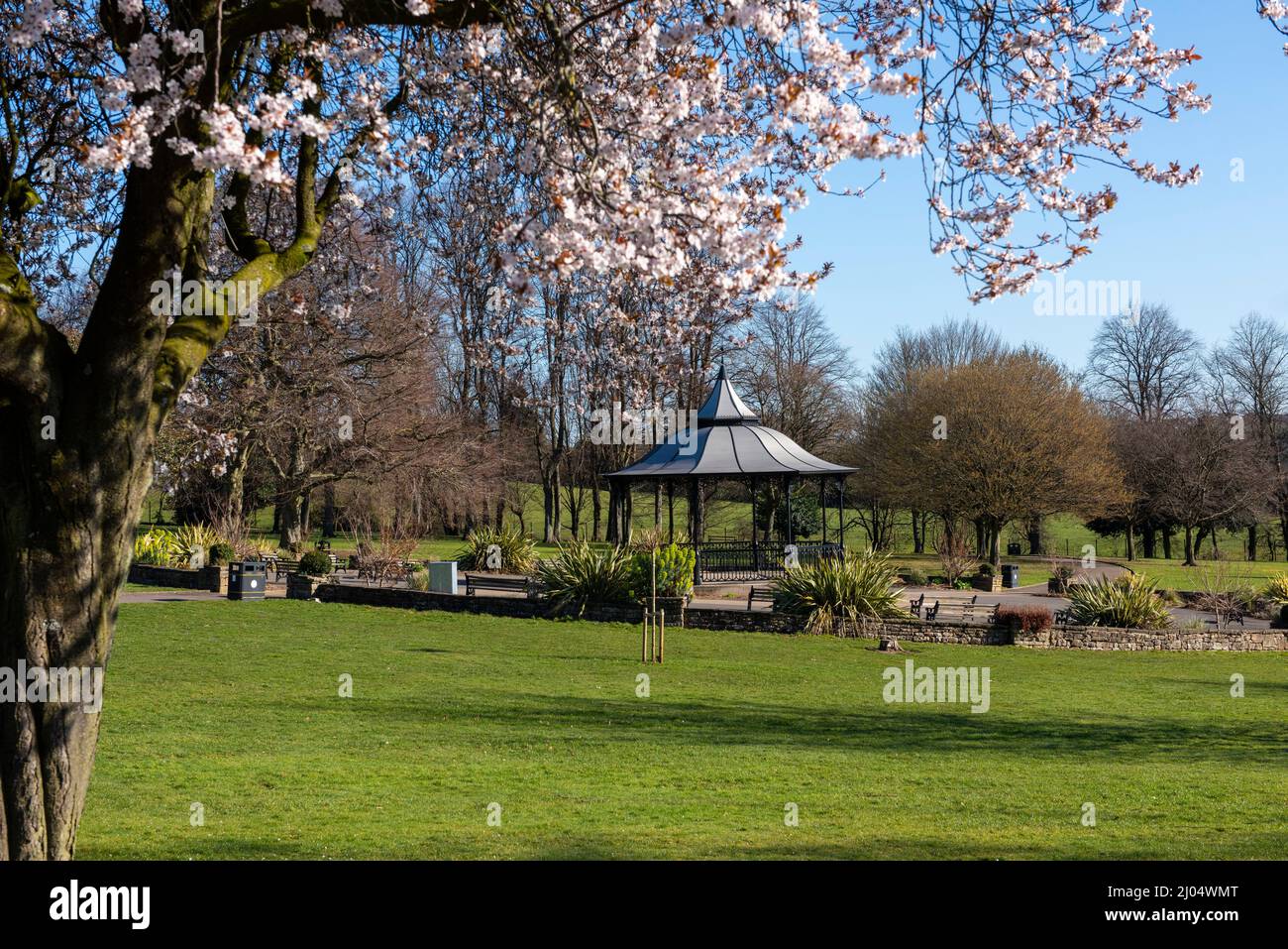 Spring at Carr Bank Park in Mansfield, Nottinghamshire England UK Stock ...