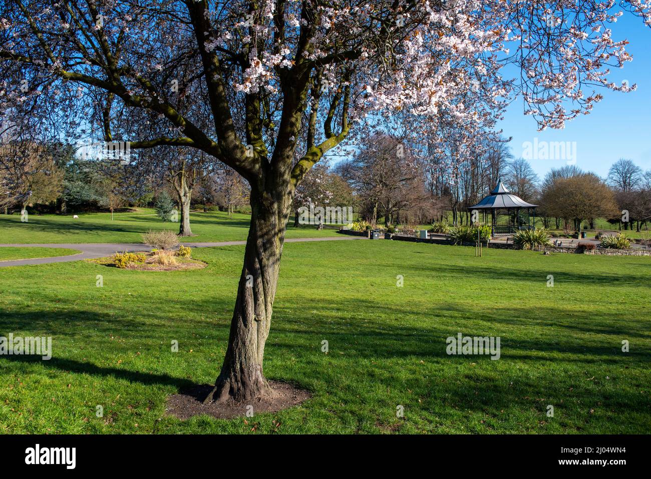 Spring at Carr Bank Park in Mansfield, Nottinghamshire England UK Stock ...