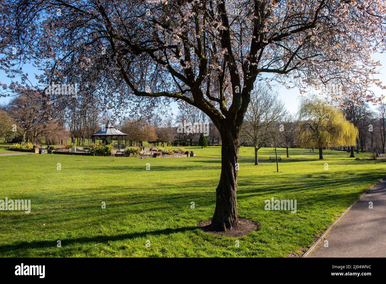 Spring at Carr Bank Park in Mansfield, Nottinghamshire England UK Stock ...